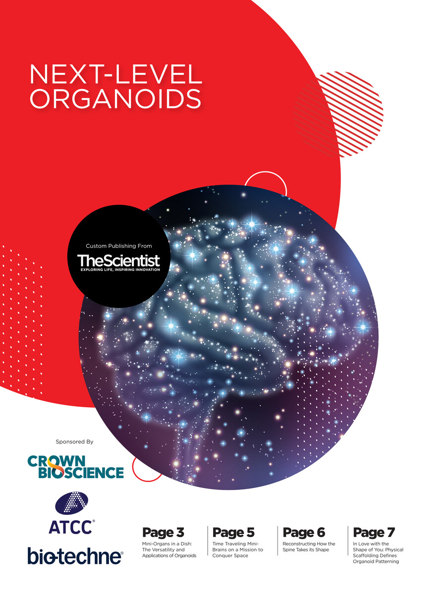 48048-TS-Organoids-Animated-e-Book-IC by info - Flipsnack