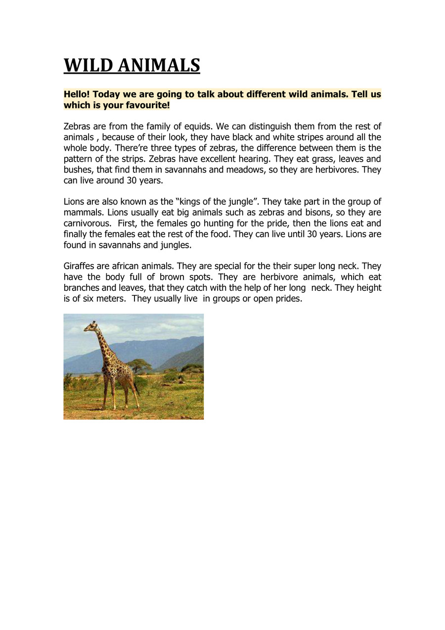 WILD ANIMALS by Ovidi Corominas - Flipsnack