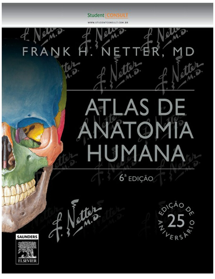 NETTER Neuroanatomia by Gabriel Chaves - Flipsnack