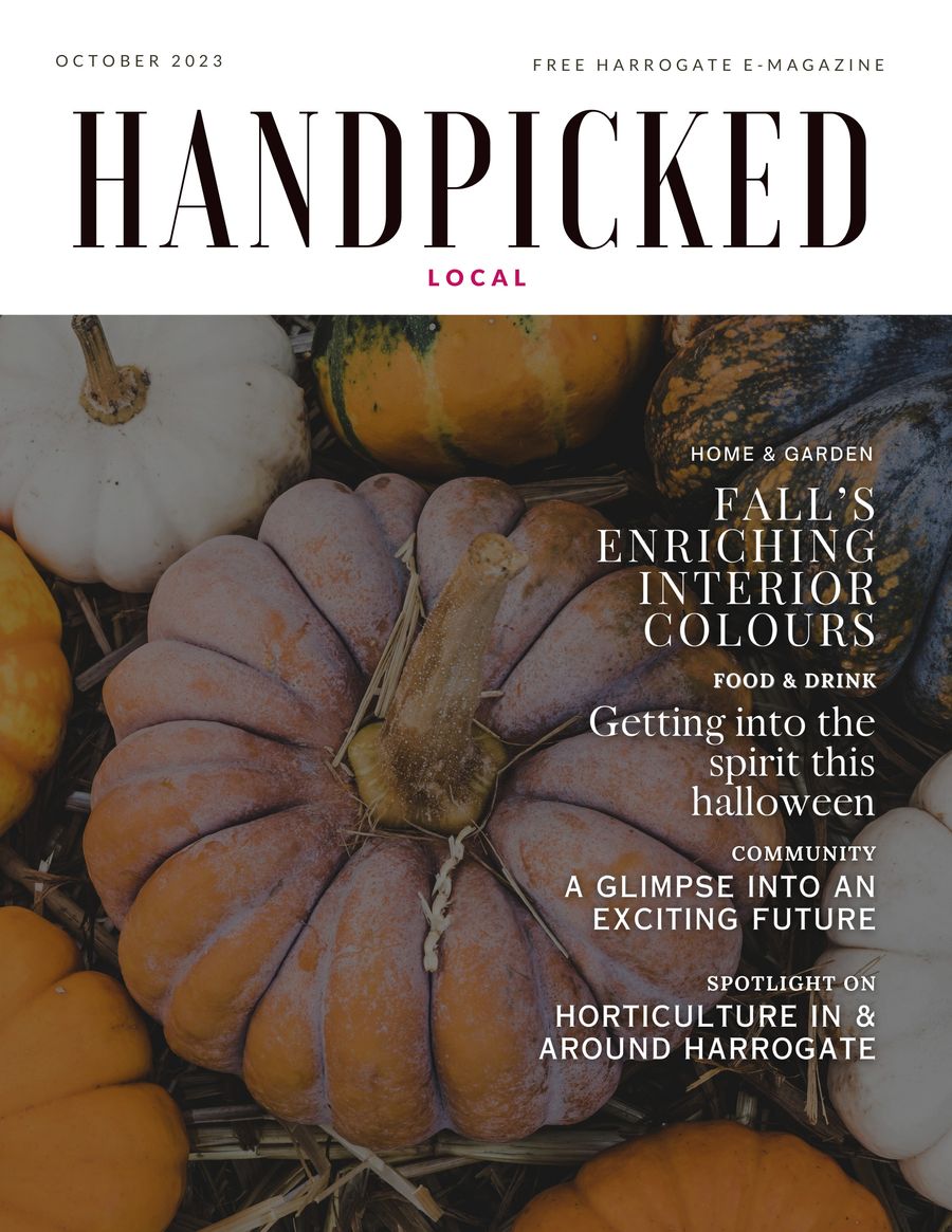 Handpicked Local E-Magazine October 2023 by Joanne Maltby - Flipsnack
