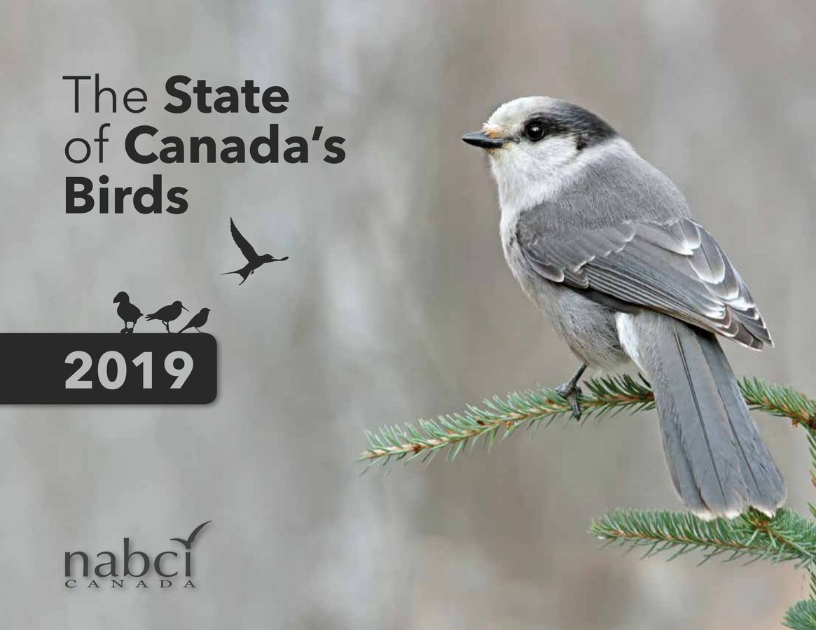 State of Canada's Birds 2019 by BirdLife