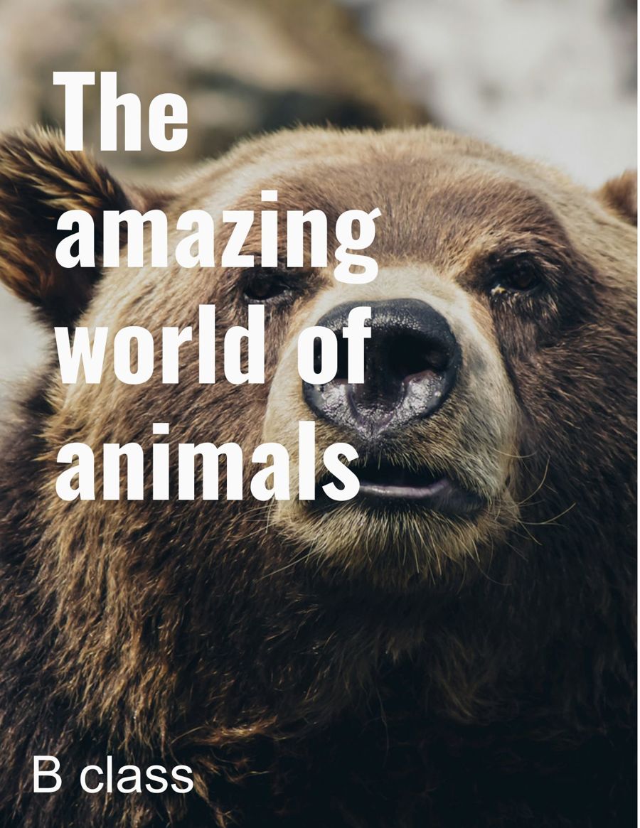 The amazing world of animals by... - Flipsnack