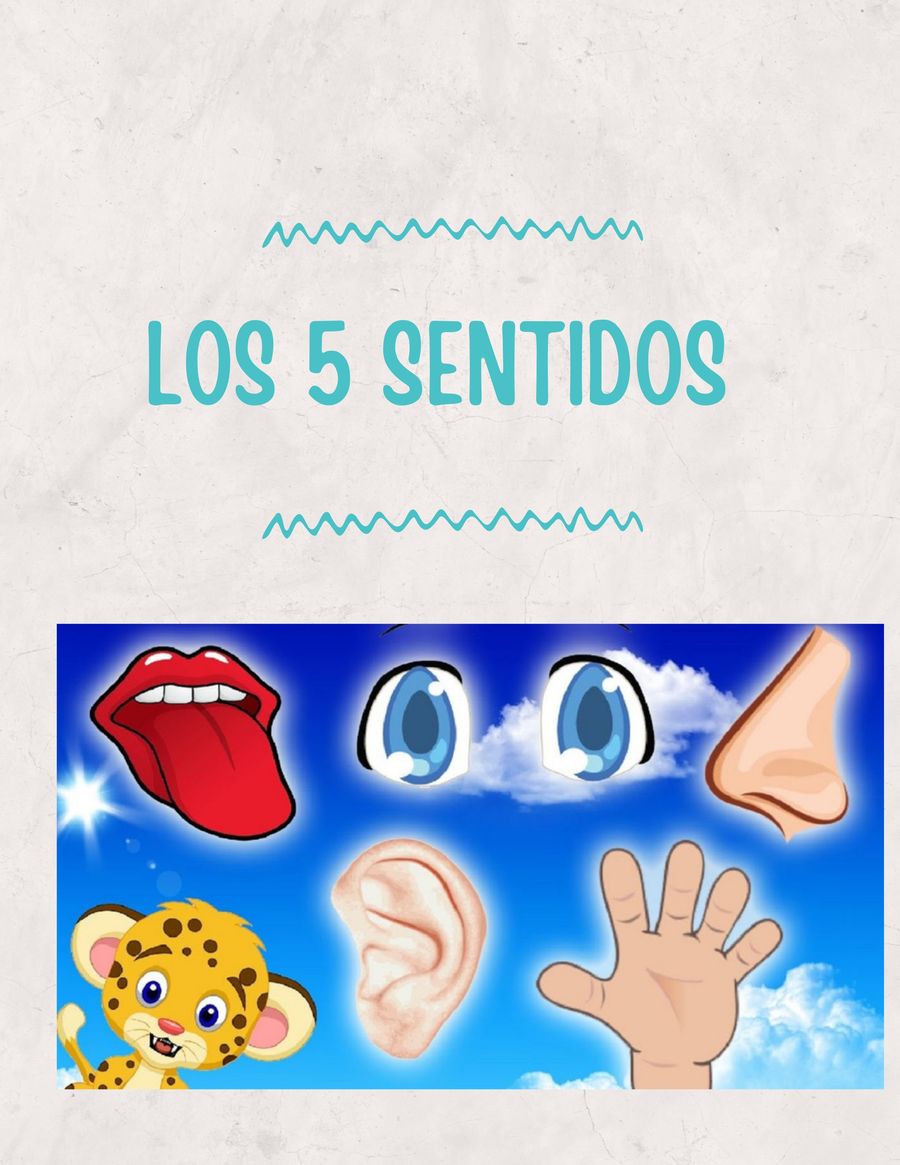 los 5 sentidos by Jair Hernandez... - Flipsnack