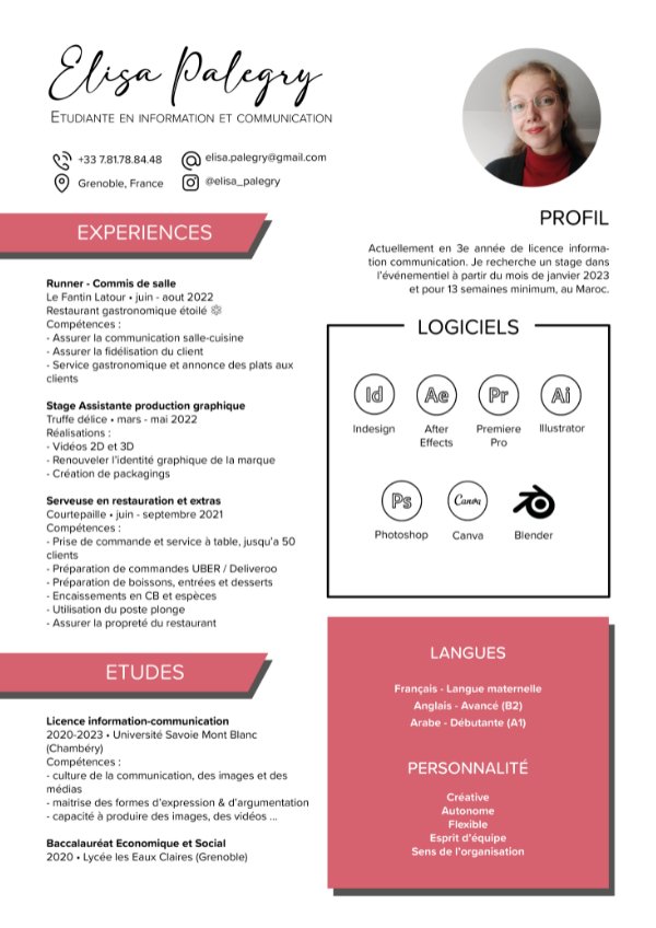 CV elisa palegry by elisa - Flipsnack