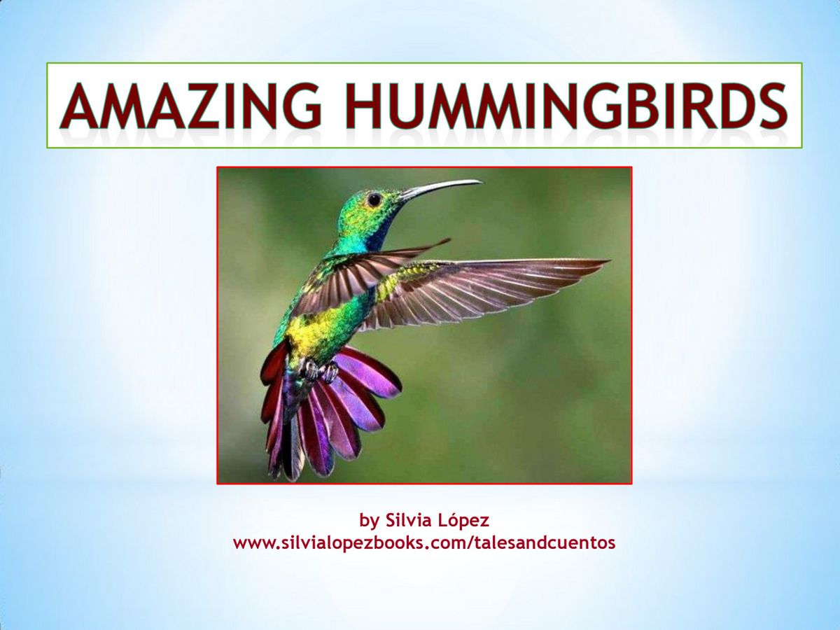 Amazing Hummingbirds by silvialopezbooks - Flipsnack