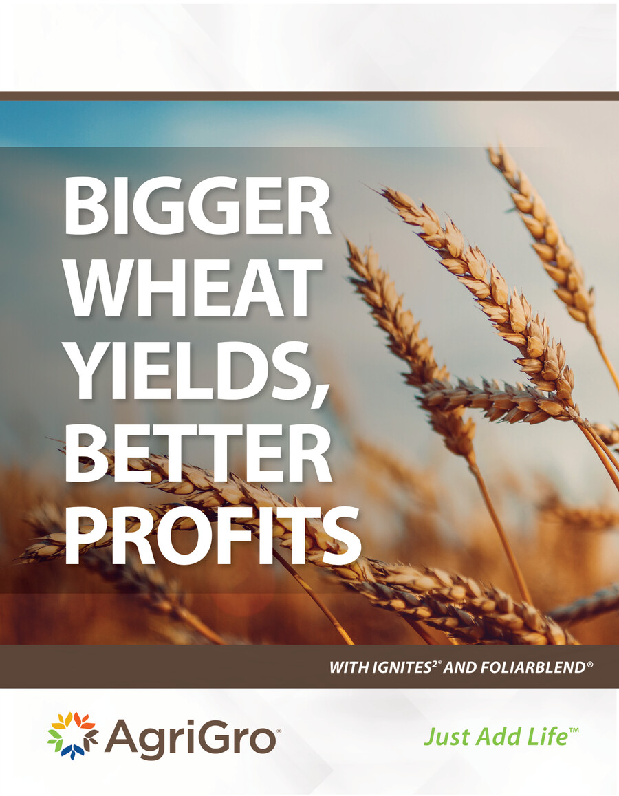 Wheat Brochure 2020 by AgriGro Inc - Flipsnack