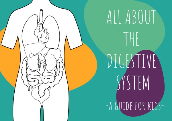 Digestive System for Kids by Susan Collin - Flipsnack
