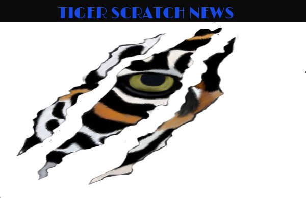 Tiger Scratch Magazine by Tayler Andrews - Flipsnack