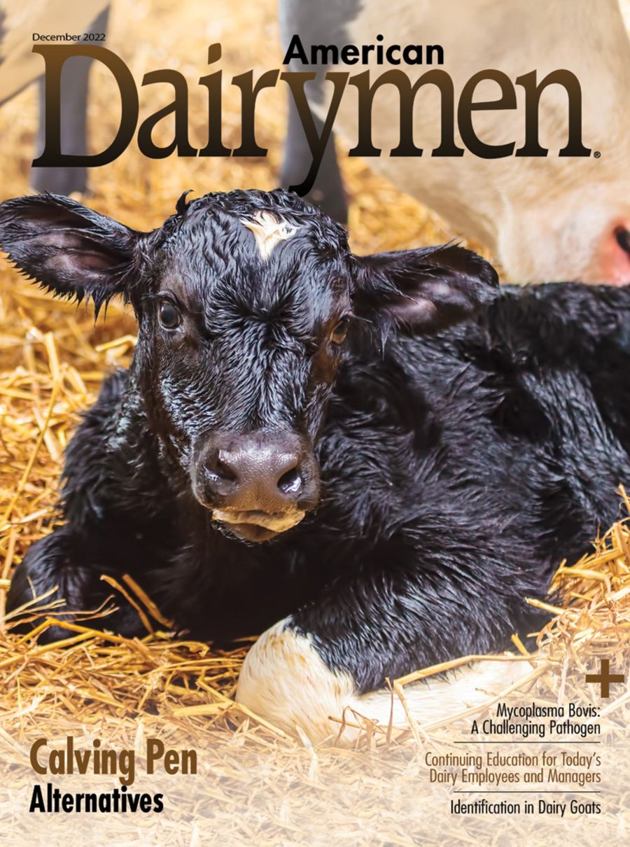 December American Dairymen 2022 by Dustin Hector - Flipsnack