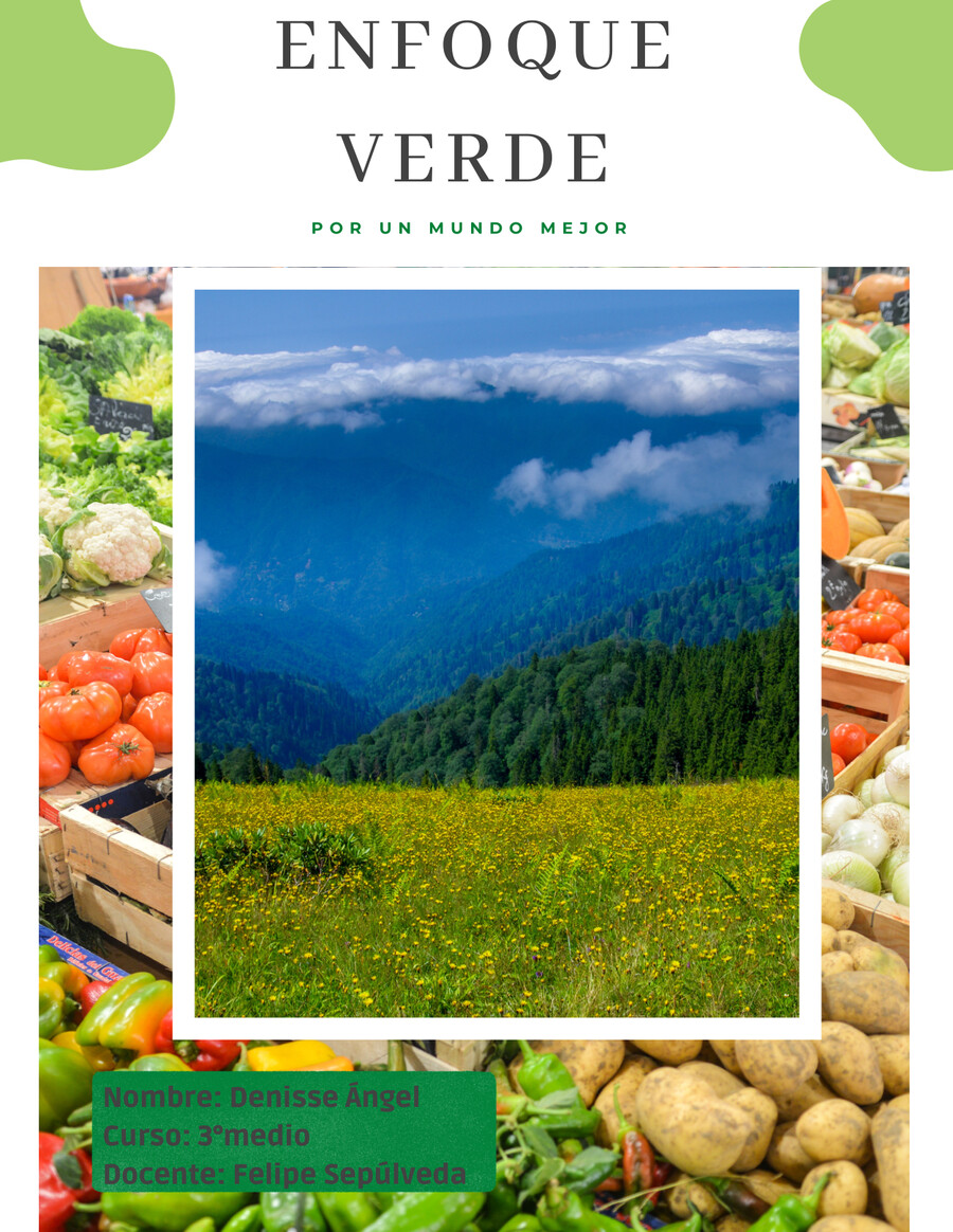 ENFOQUE VERDE- DENISSE ANGEL- LENGUAJE by - Flipsnack