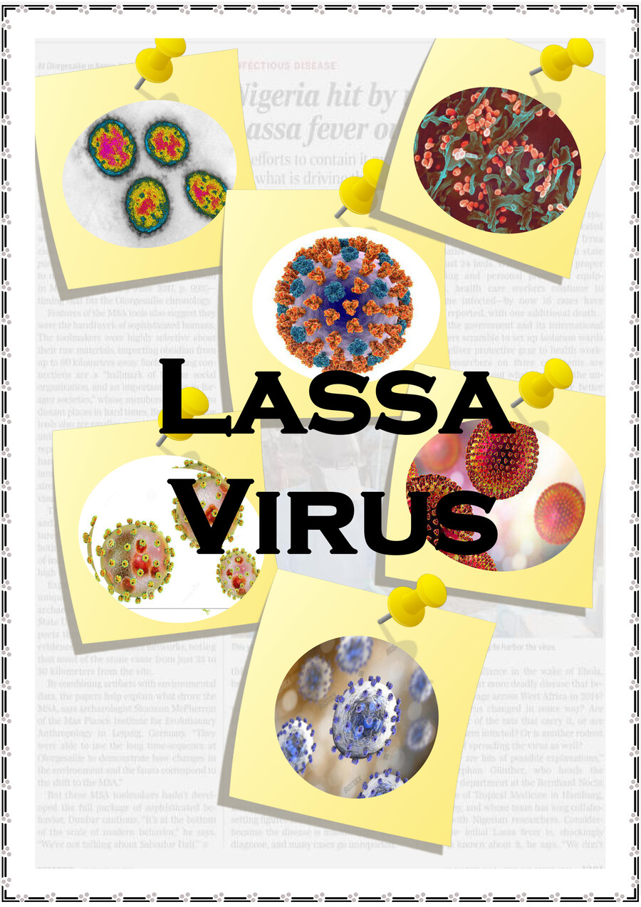 LASSA VIRUS ) by yalini hunasegran - Flipsnack