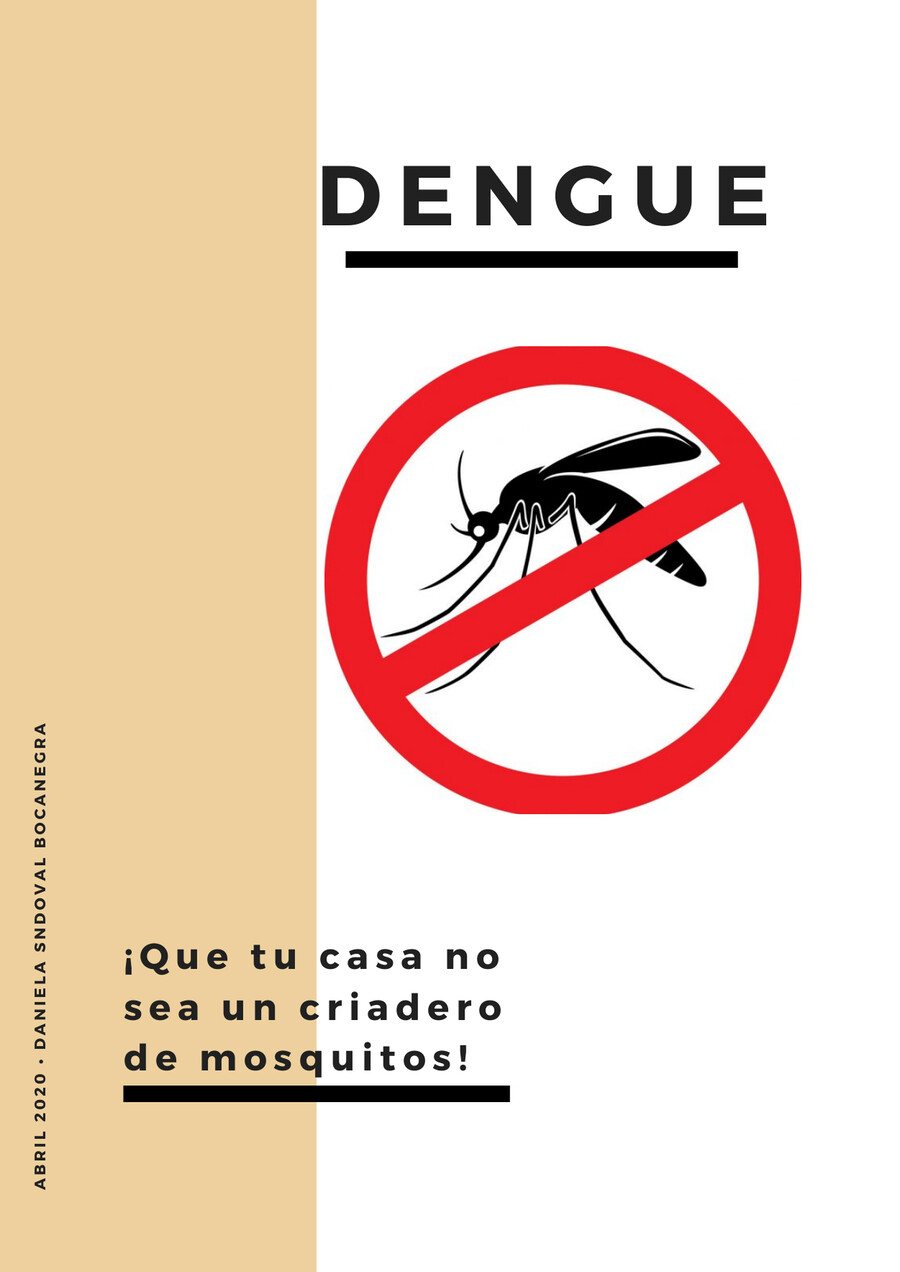 DENGUE by daniela sandoval - Flipsnack