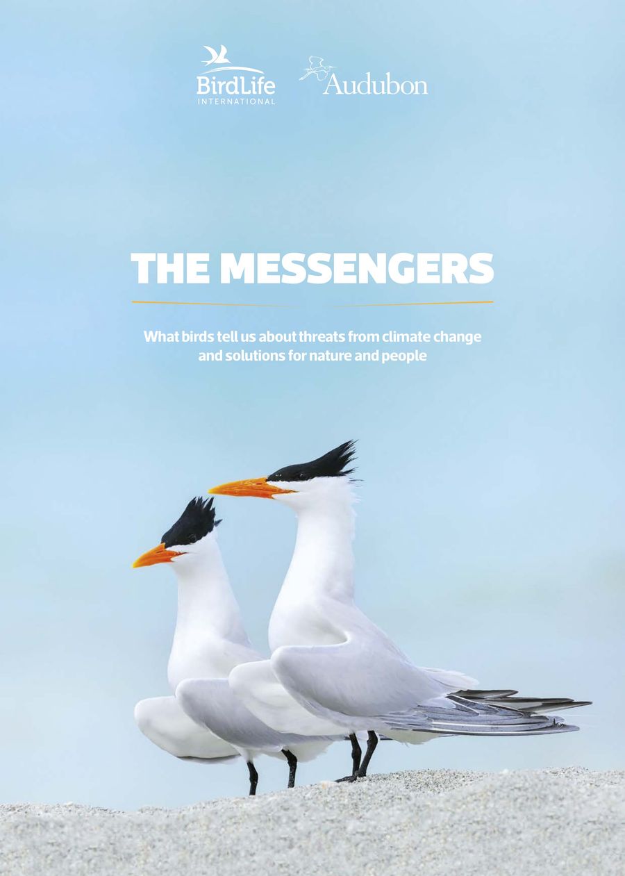 The Messengers by BirdLife