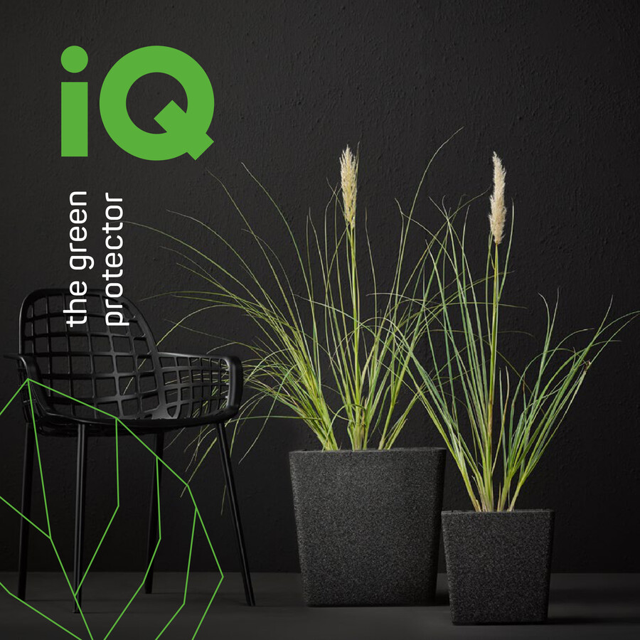 Brochure IQ 2021 by... - Flipsnack