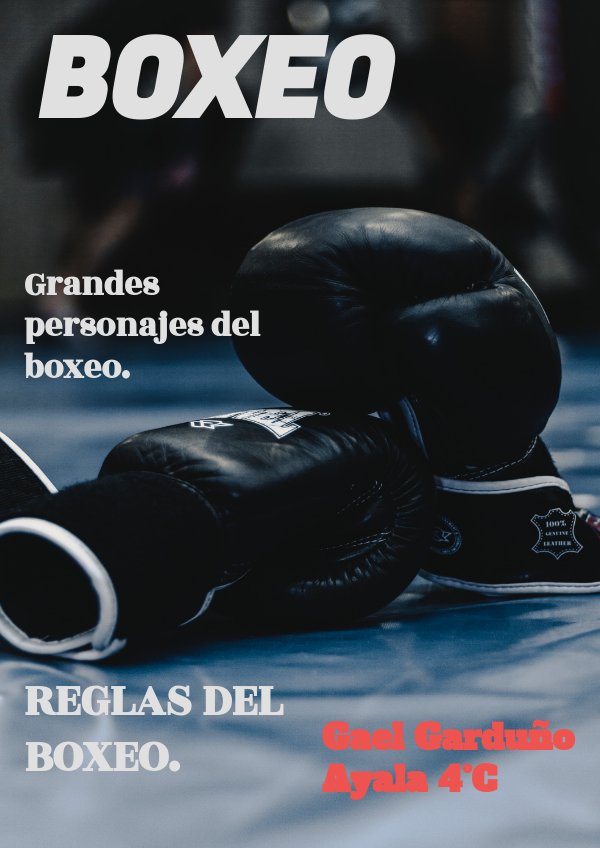 Revista de Boxeo by Gael Garduño Ayala - Flipsnack