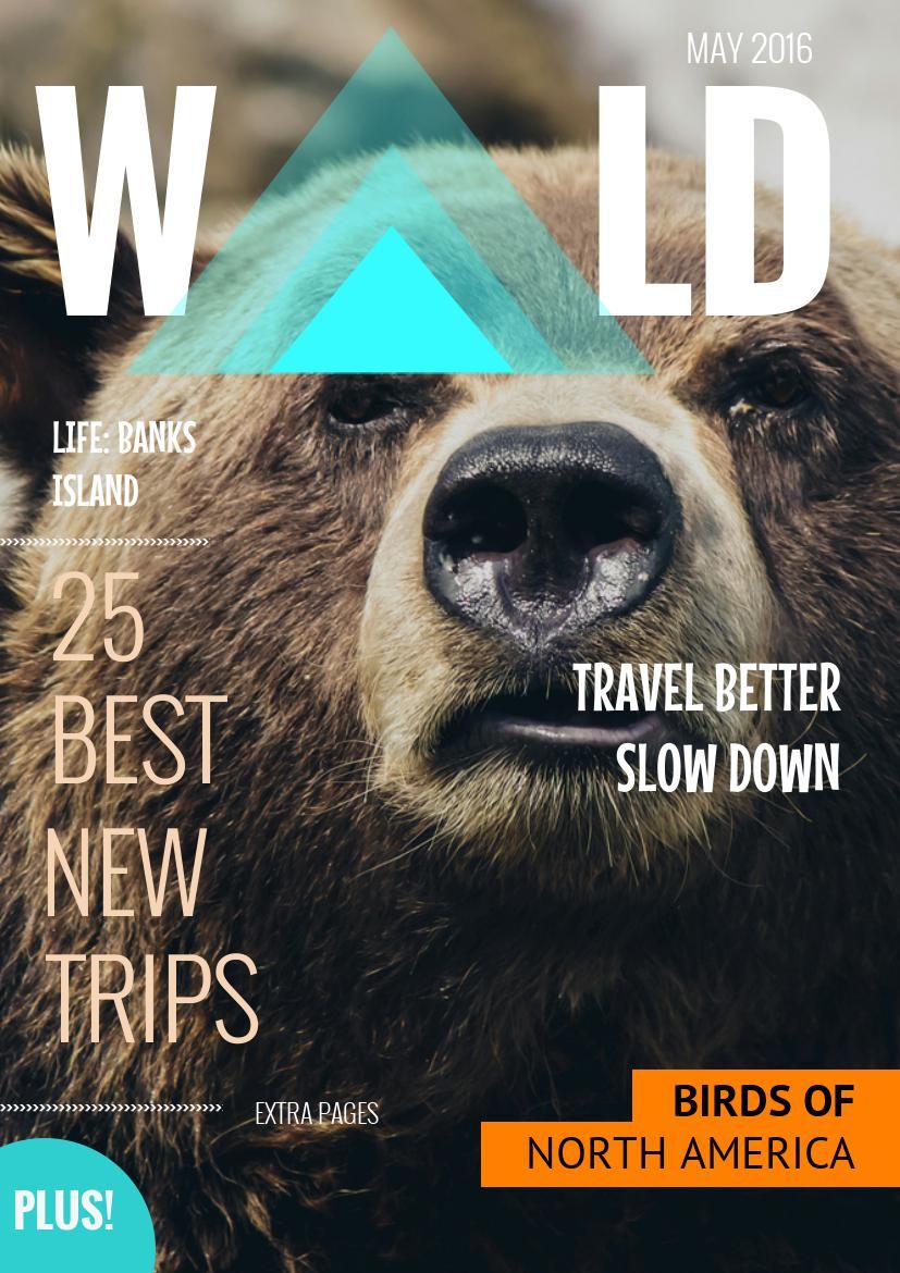 Flip Brochure Example 1 by urchin - Flipsnack