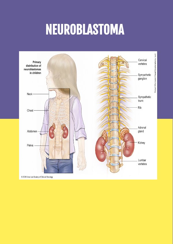 New flipbook by Maylee Thibault - Flipsnack
