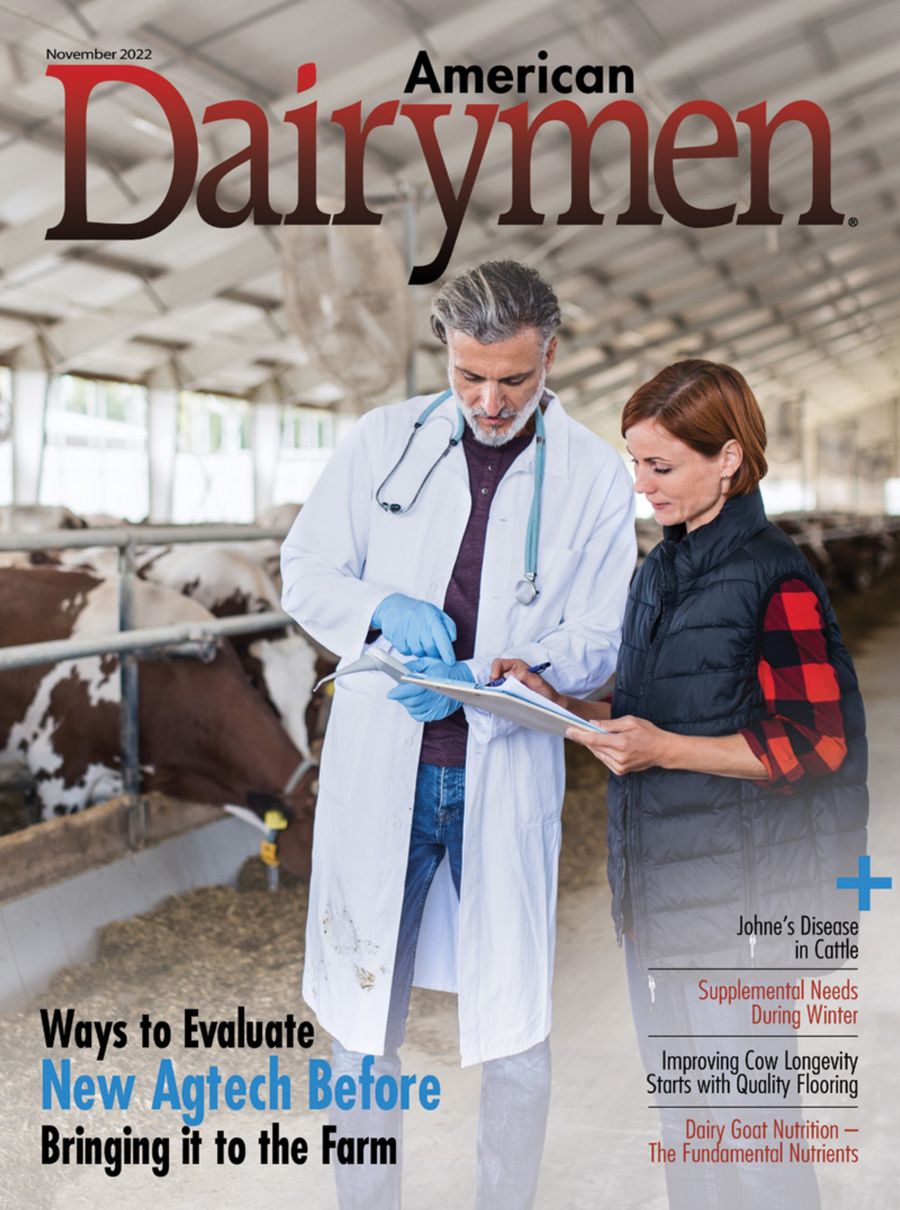American Dairymen November 2022 by Brandon Peterson - Flipsnack