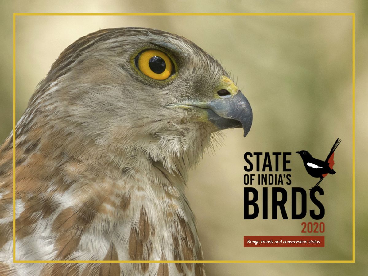State of India's Birds 2020 by BirdLife