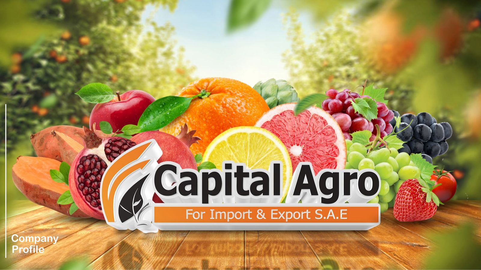 Company Profile Brochure V4 by Capital Agro - Flipsnack