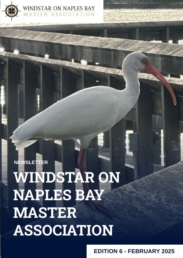 Windstar Master February 2025 Newsletter by Mitch - Flipsnack