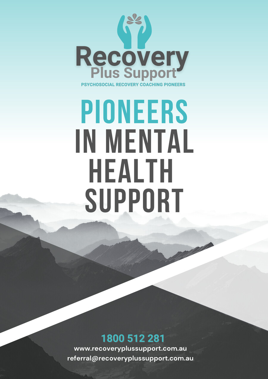 Recovery Plus Support National Booklet by Madeleine Fellowes - Flipsnack