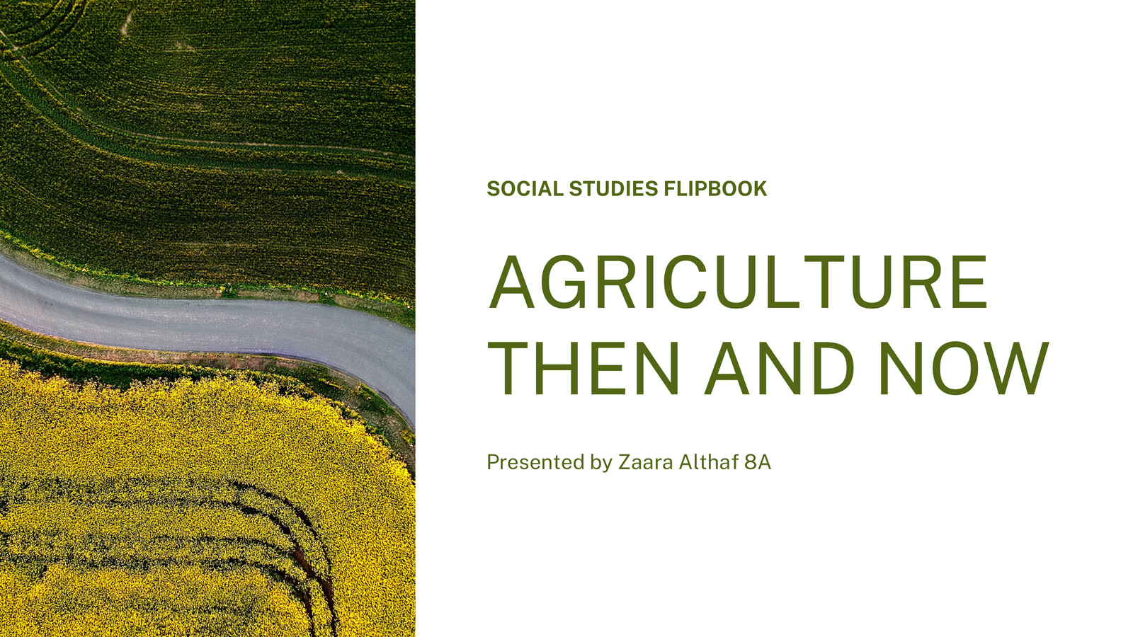 Agriculture: Then and Now - Zaara Althaf 8A Social Studies by Zaara ...