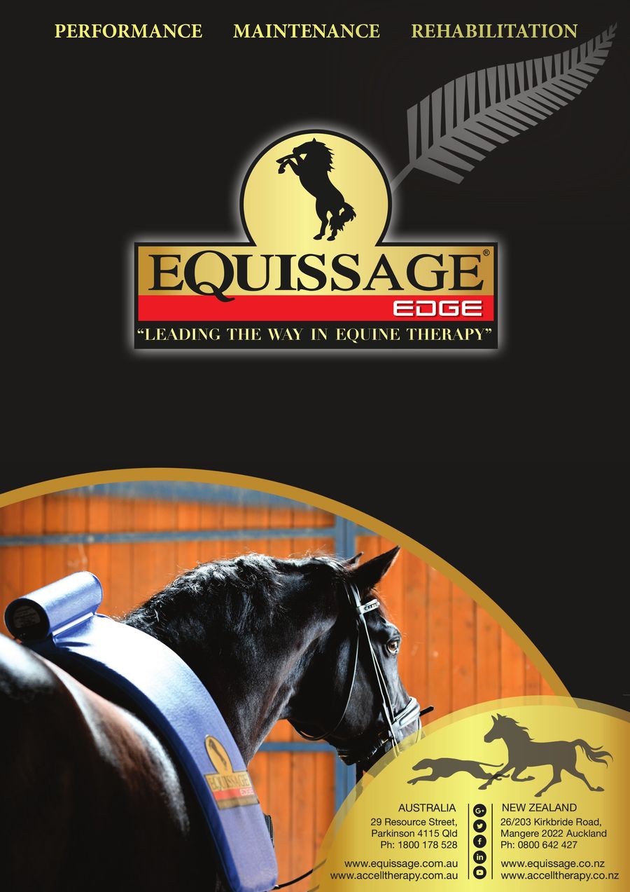 Equissage NZ Visual Aid 2023 by Ian Bellion - Flipsnack