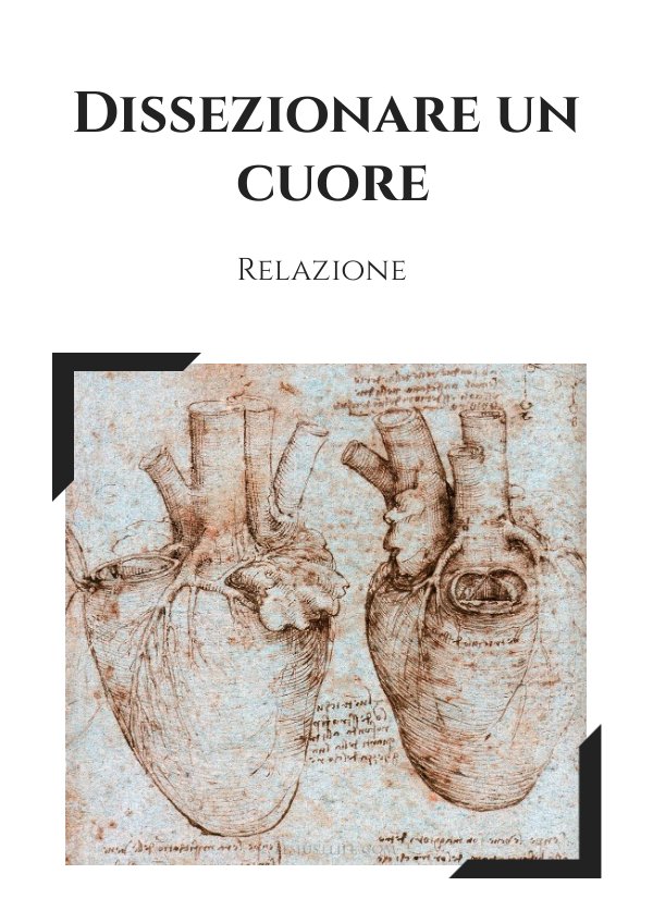 Dissezionare un cuore by Sveva Spedicato - Flipsnack