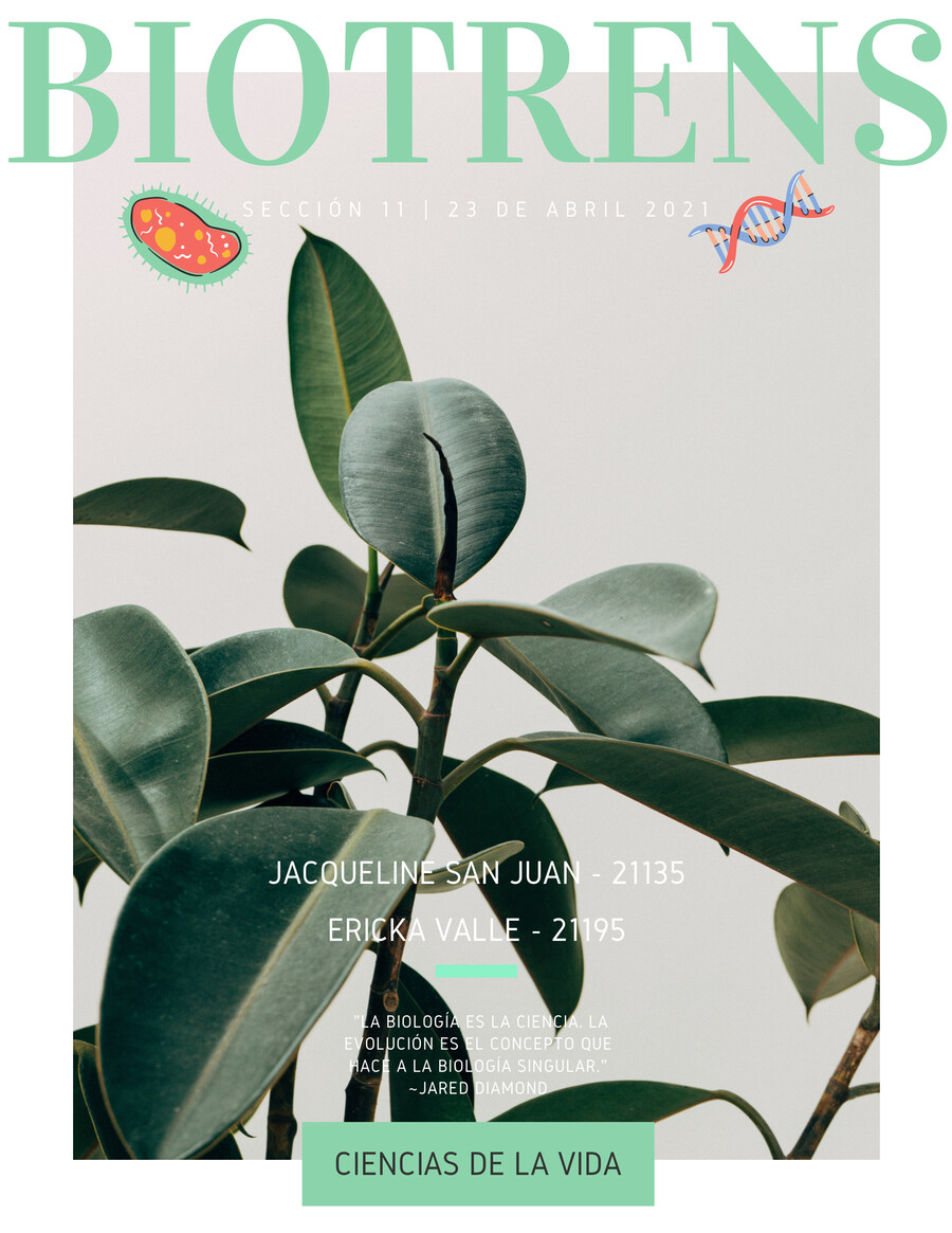 Biotrends-Caso Integrador No.3 by ERICKA... - Flipsnack