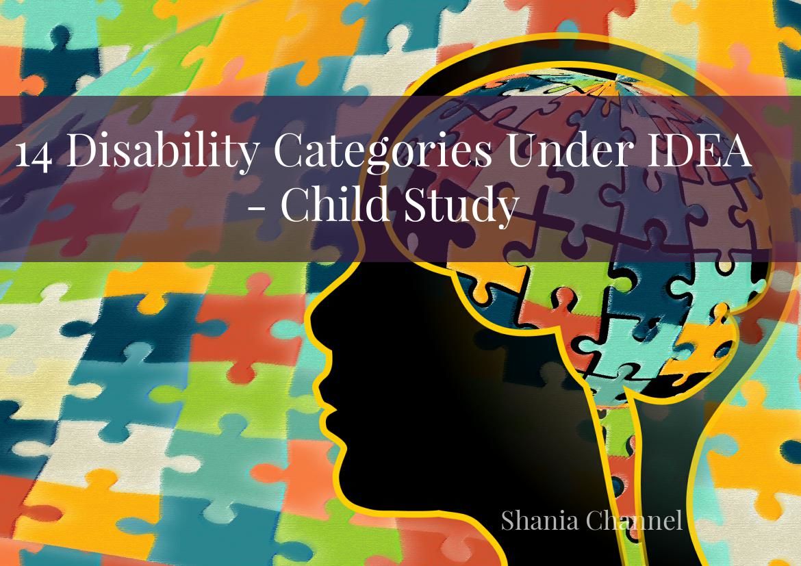 14 Disability Categories Under IDEA & Child Study Team by Shania ...