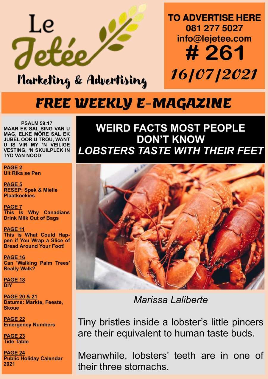 Le Jetee No 261 (16 July 2021) by Antoinette - Flipsnack