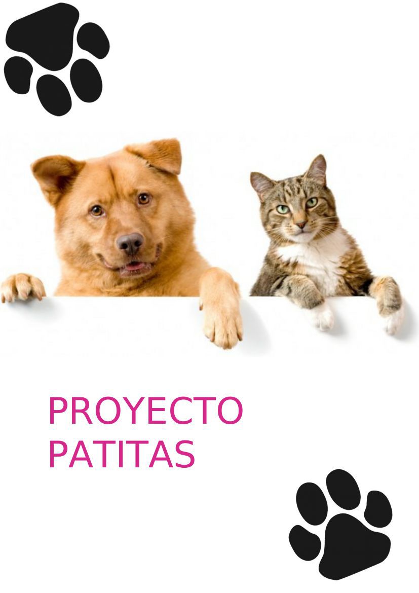 Proyecto Patitas by Micaela - Flipsnack