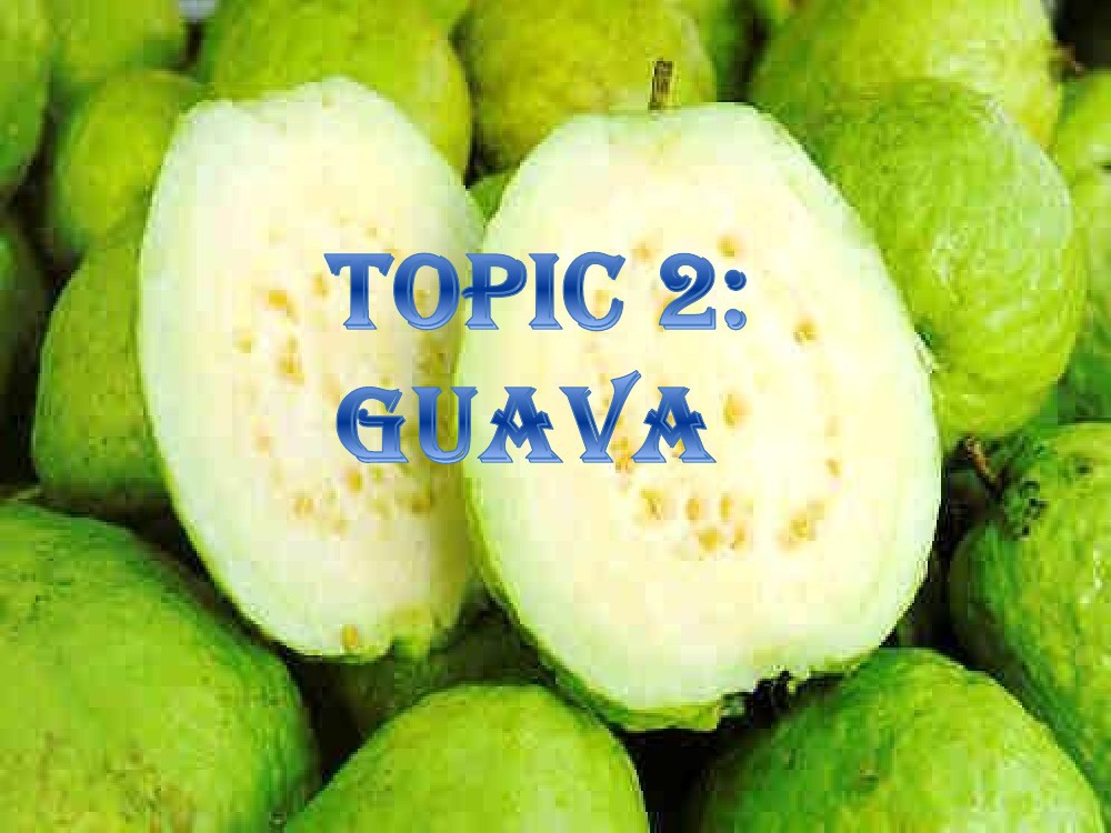CHAPTER 2: Topic 5 (GUAVA) by mohdnizar7 - Flipsnack
