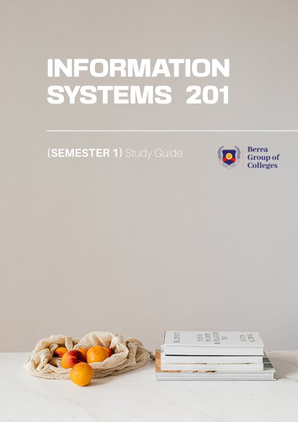 Information Systems 201 by E-Publishing