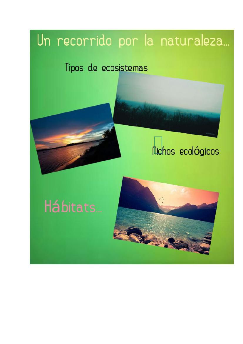 la naturaleza by Angelo Baca - Flipsnack