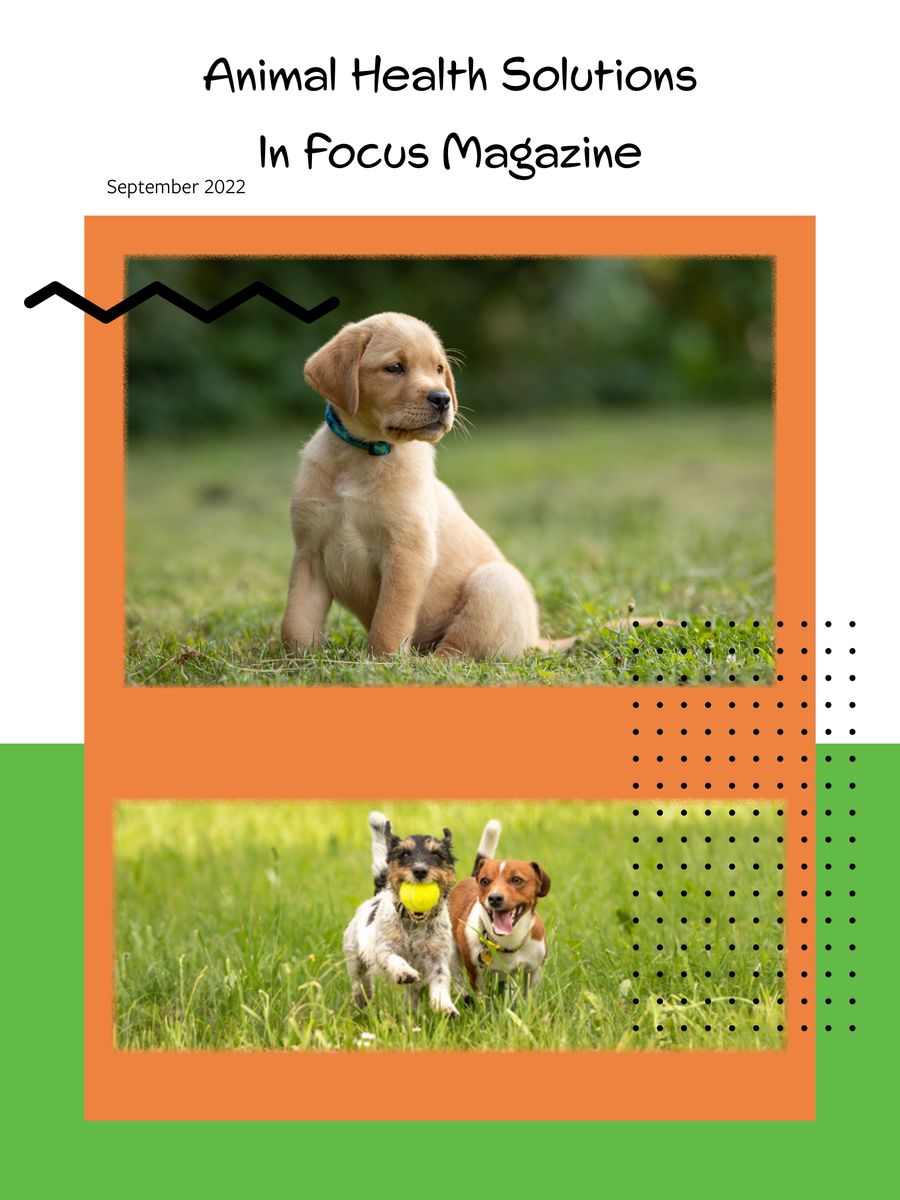 AHS September In Focus Magazine TP by Sherridin Lindsay - Flipsnack