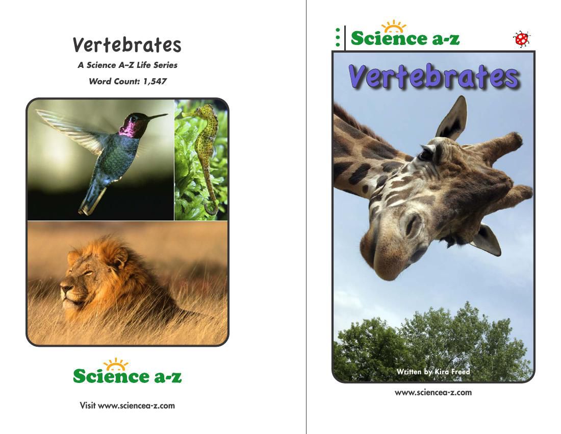 Vertebrates by Laura - Flipsnack