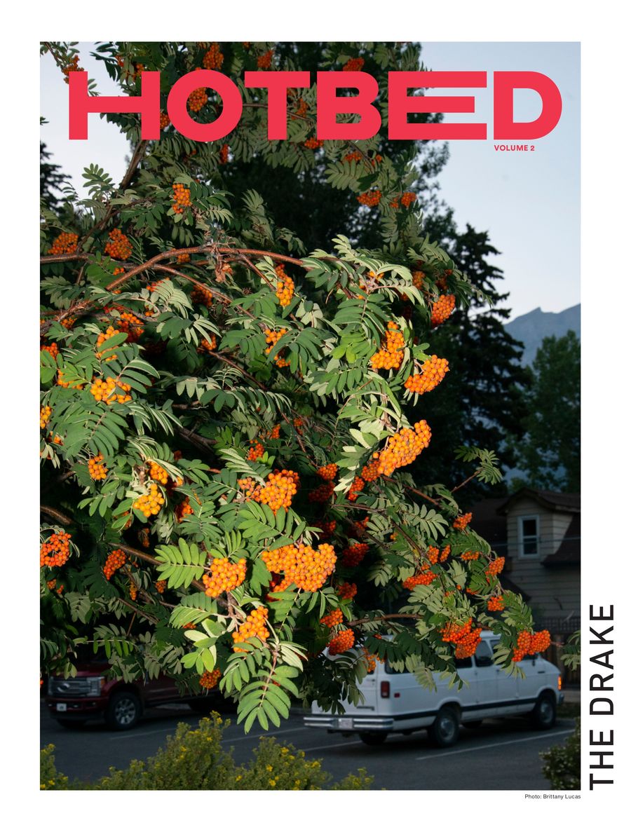 HOTBED Volume 2 by Drake Hotel... - Flipsnack