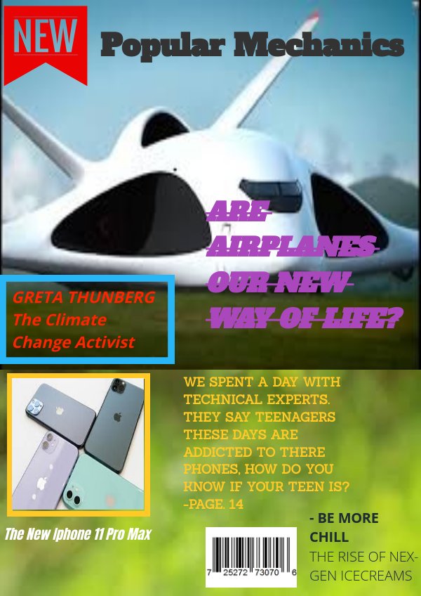 Airplane Magazine Cover by Madison Goldstein - Flipsnack