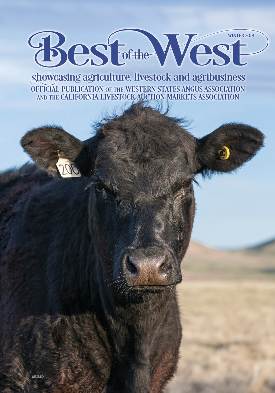 Trailhead Designs by Best of the West - Flipsnack