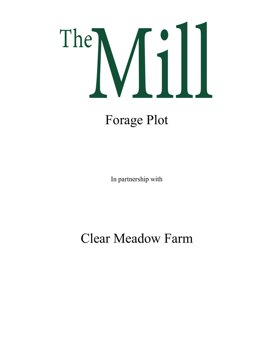 Forage Plot 2019 by Renee - Flipsnack