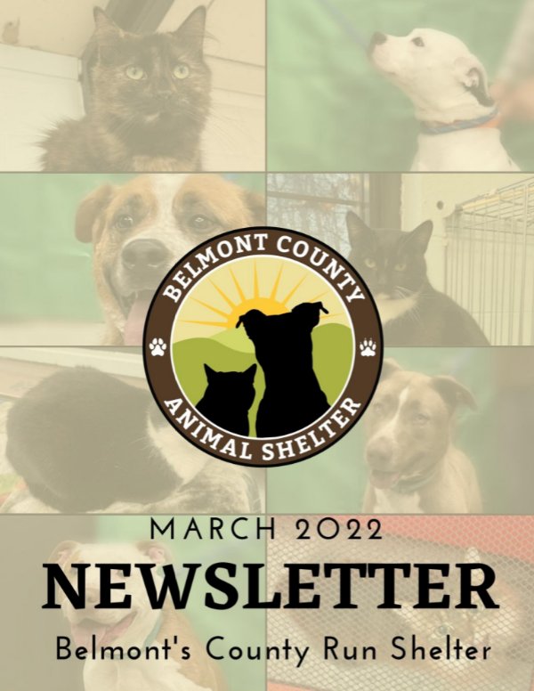 Belmont County Animal Shelter March Newsletter by Belmont... - Flipsnack