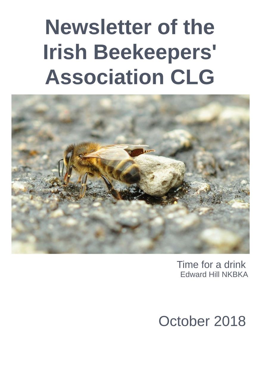 Newsletter of the Irish Beekeepers Association by Irish... - Flipsnack
