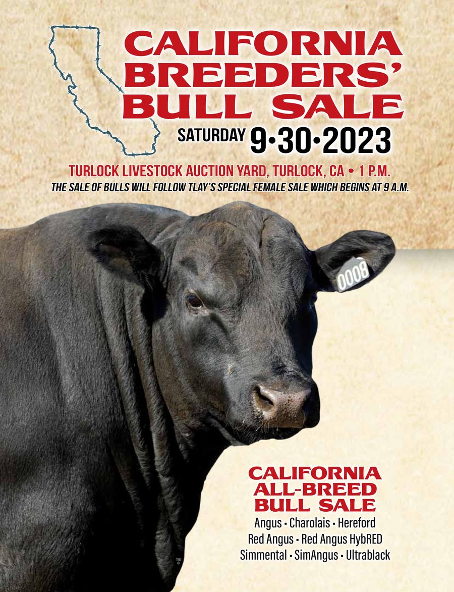 TLAY CA Breeders' Bull Sale by Best of the West - Flipsnack