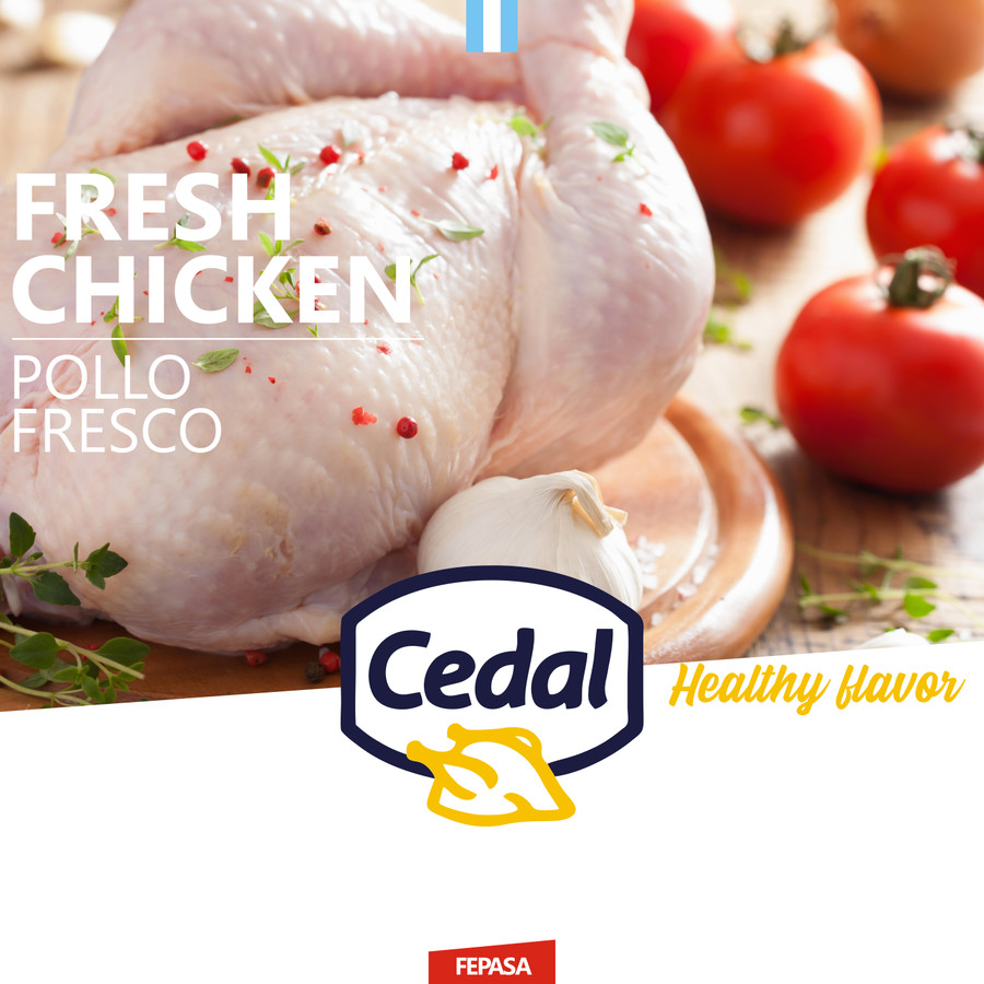 Folleto CEDAL by puntoaparte Estudio - Flipsnack