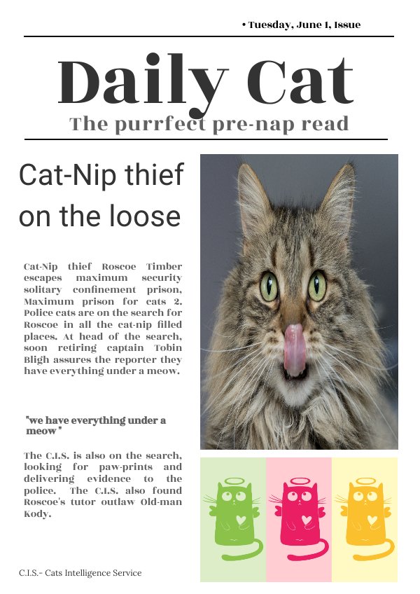 Daily Cat paper 1 by Katelyn Bligh - Flipsnack