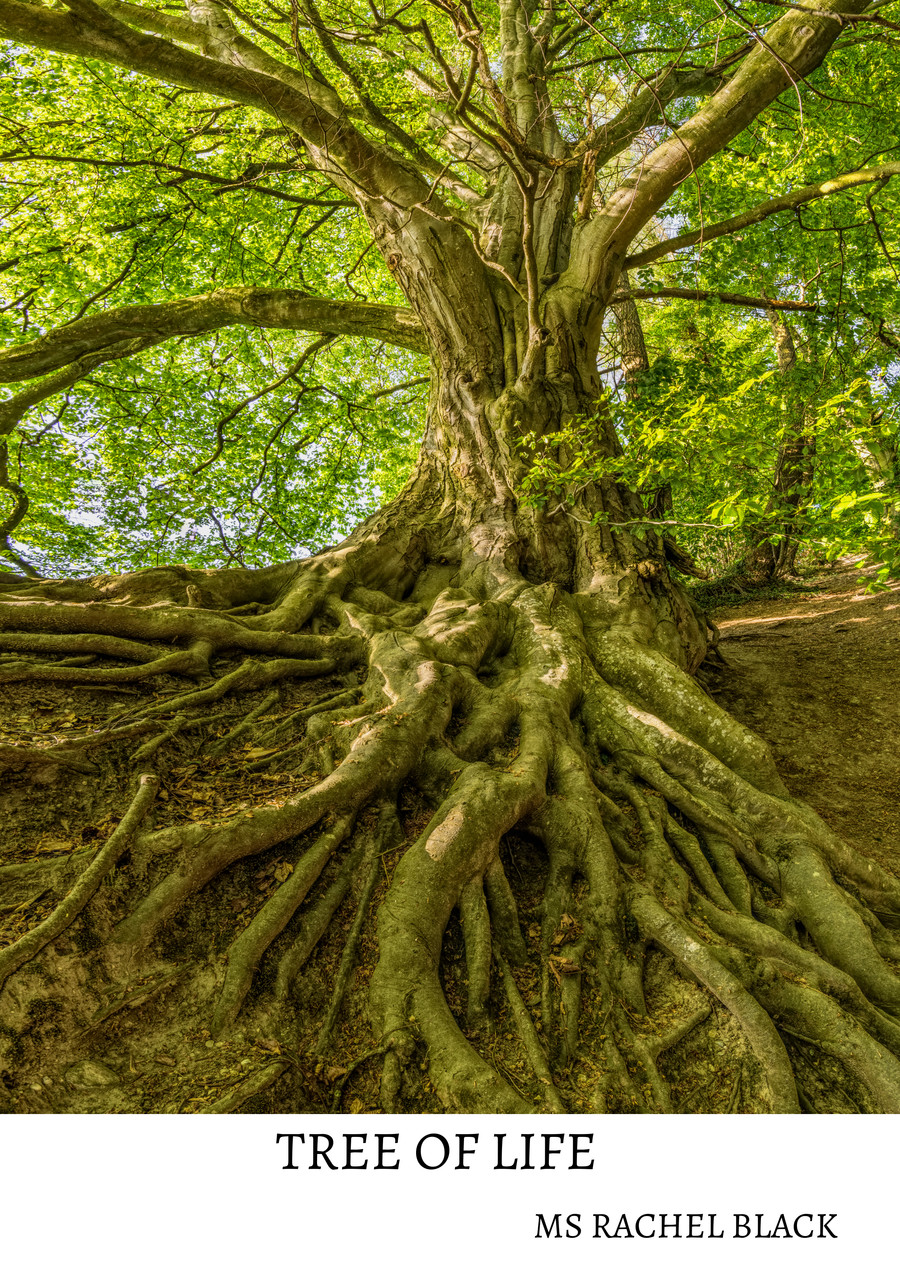 MY TREE OF LIFE by Rachel - Flipsnack