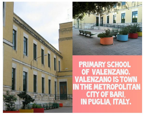 PRESENTATION by Antonella Milillo - Flipsnack