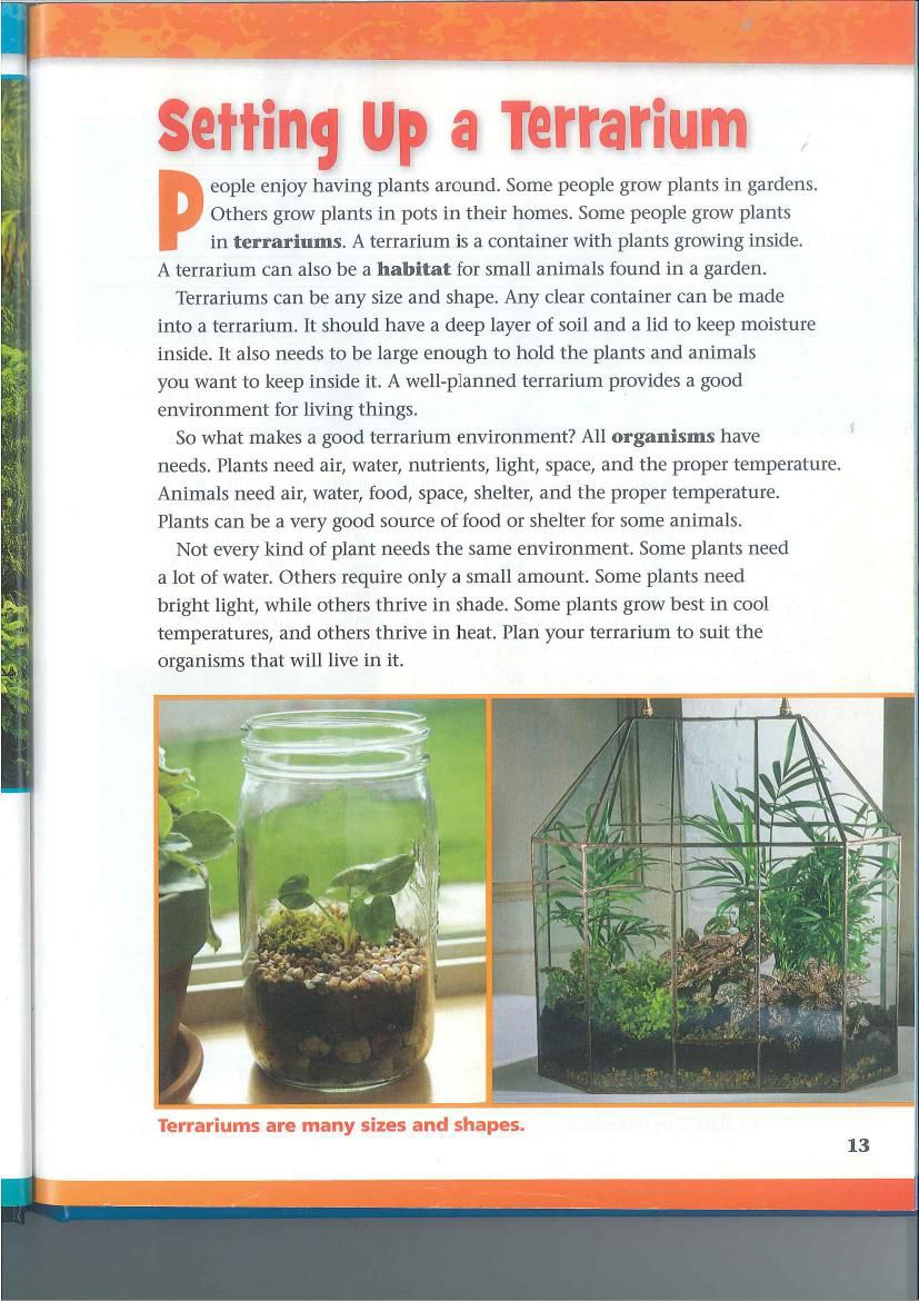 Setting up a Terrarium by hjawahar - Flipsnack